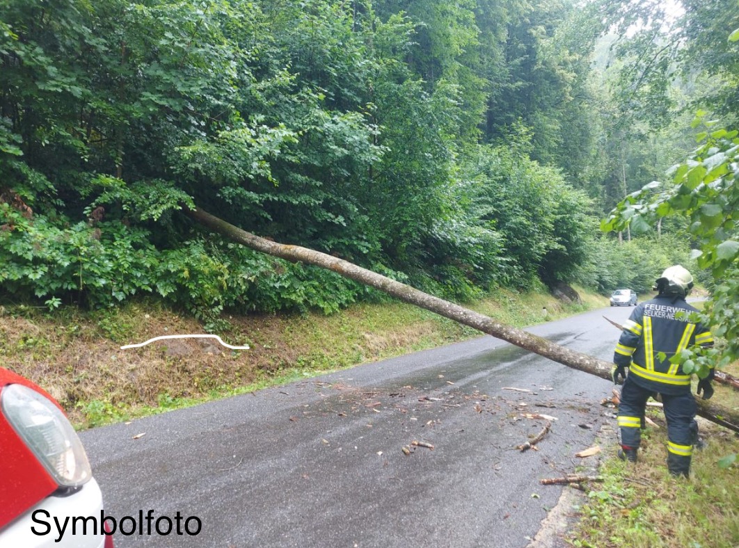 Baum über Straße » FF Selker-Neustadt